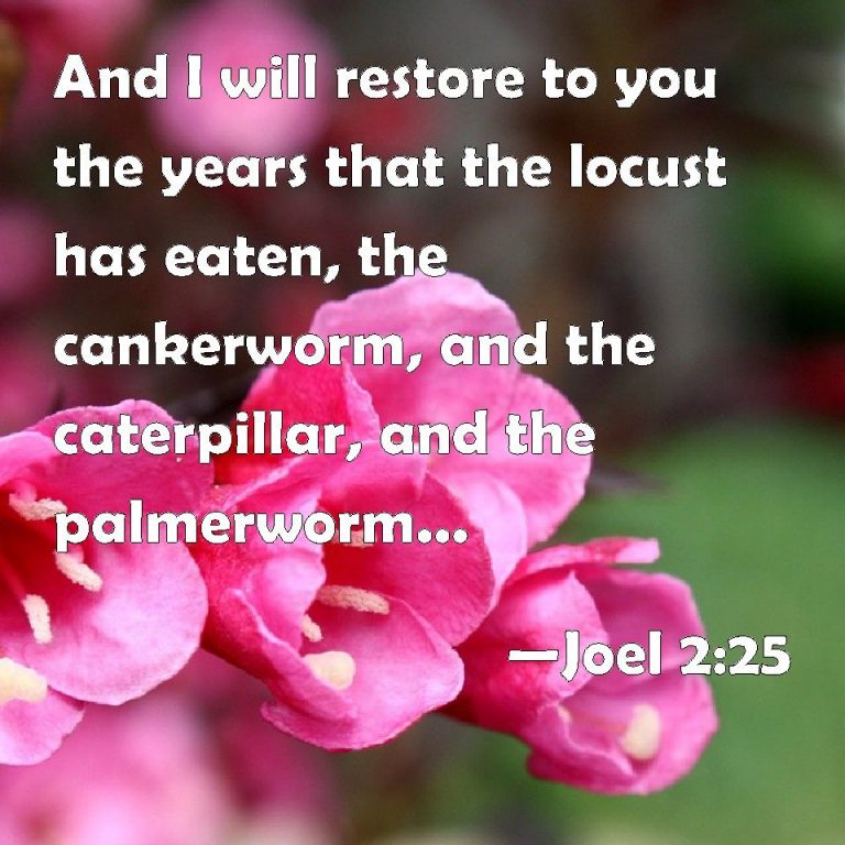 Restoration | 64 Rest